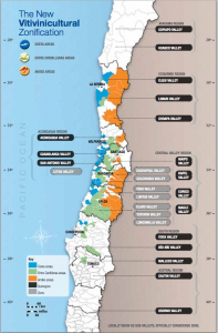 Introduction to Chilean Wine